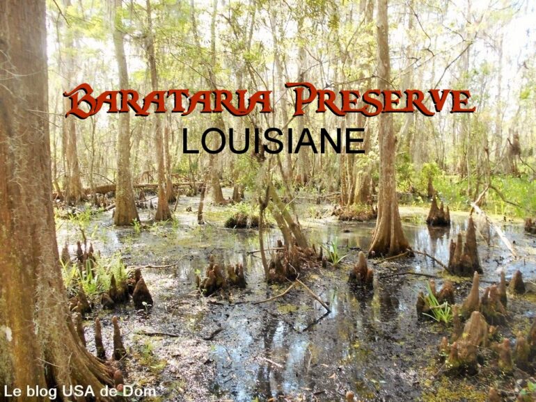 Barataria Preserve - LOUISIANE - Le blog USA de Dom