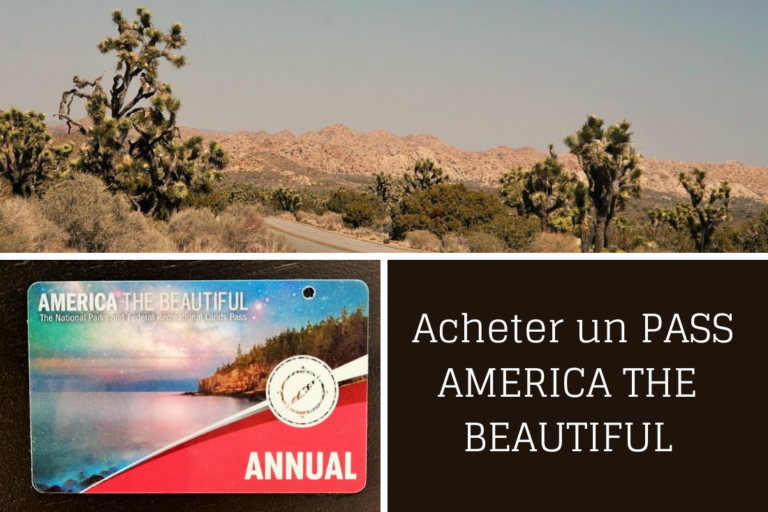 Le Pass AMERICA THE BEAUTIFUL pour visiter les parcs aux USA