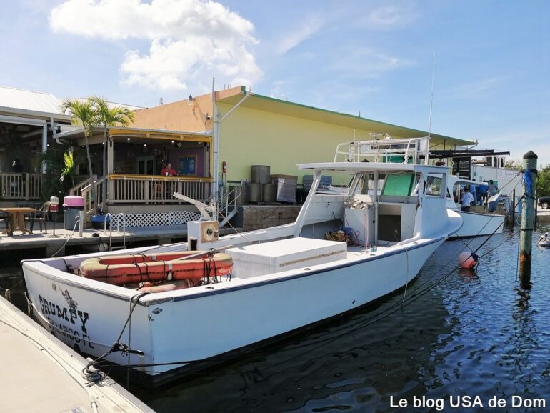 Key Largo Fisheries Backyard Cafe - KEY LARGO - FLORIDE